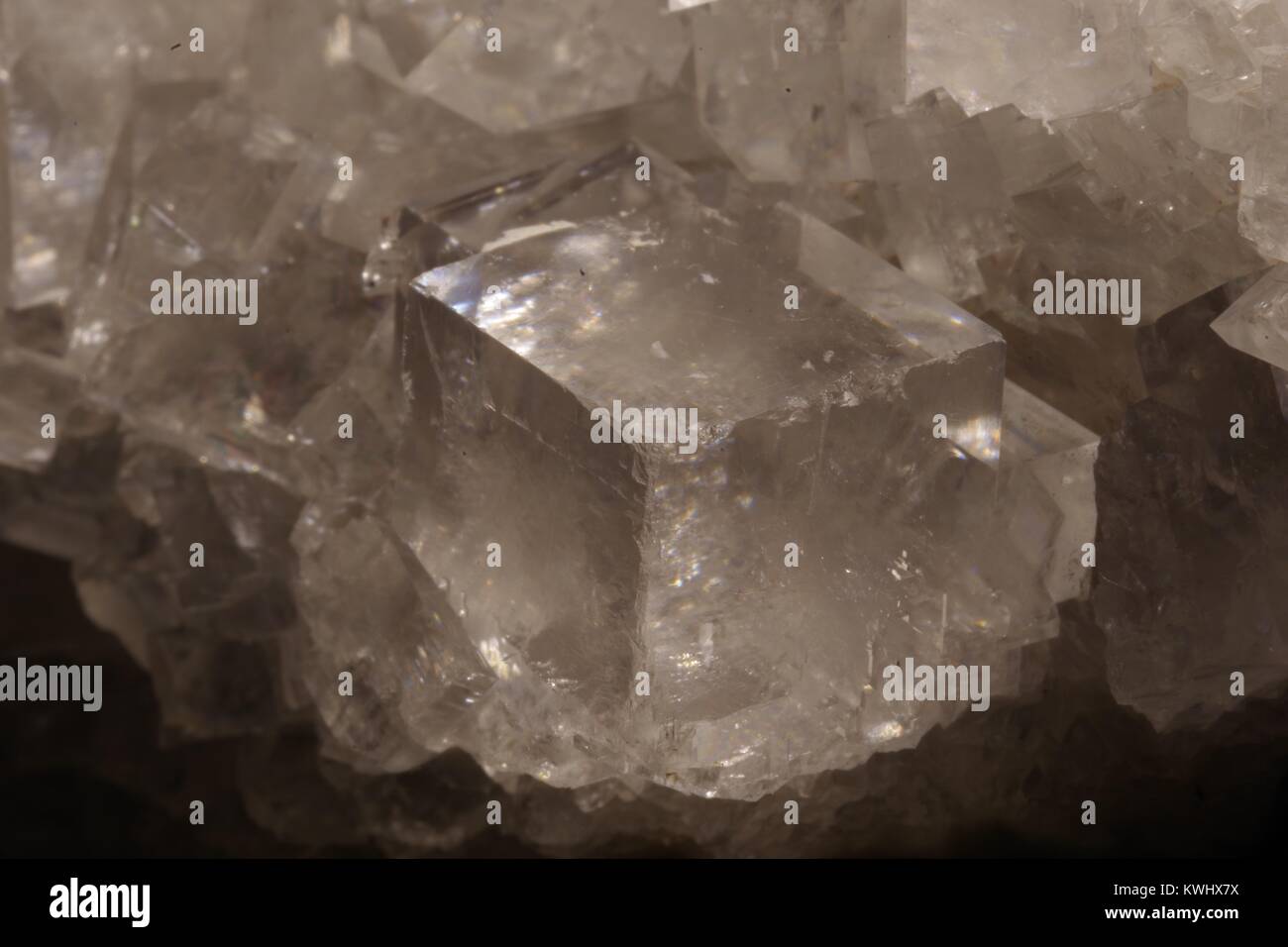 Collectable sample hi-res stock photography and images - Alamy