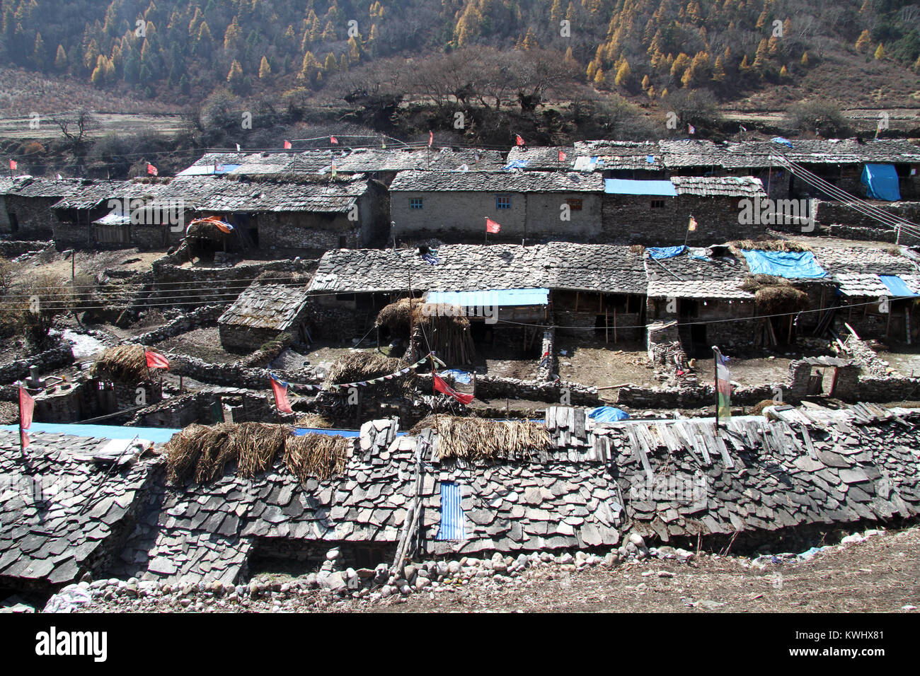Stone houses in village Samagoon in Nepal Stock Photo - Alamy