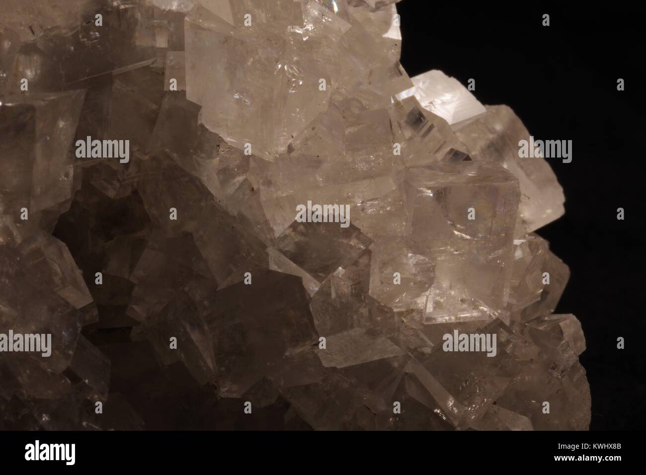 Collectable sample hi-res stock photography and images - Alamy