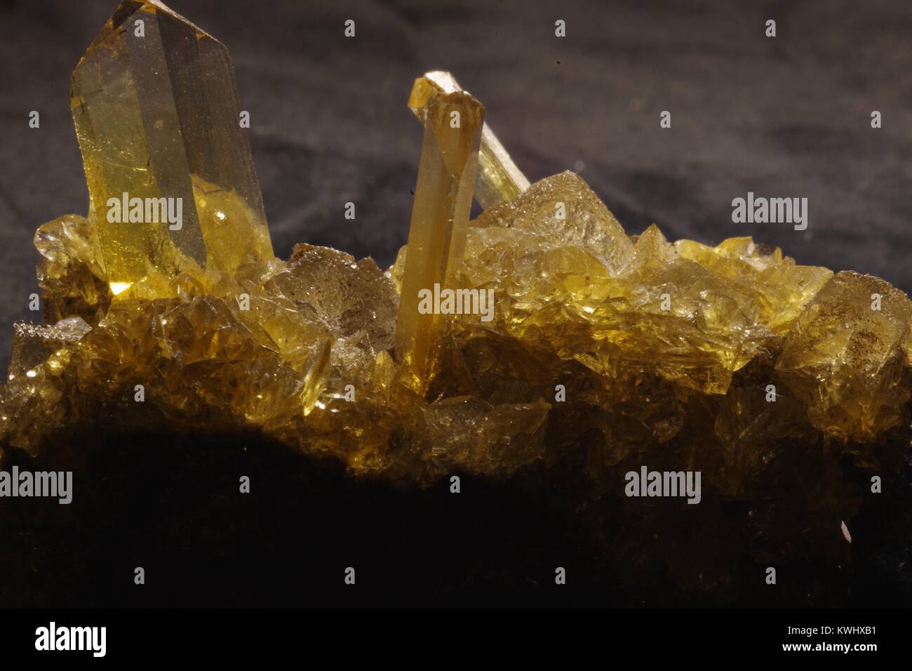 Yellow Fishtail Gypsum Crystal Cluster. Macro Image of Geological ...