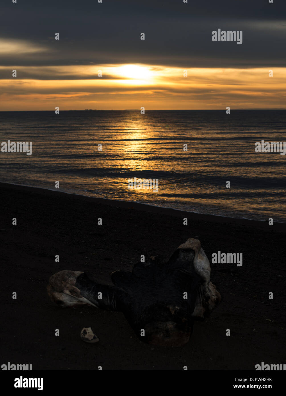 White stub hi-res stock photography and images - Alamy