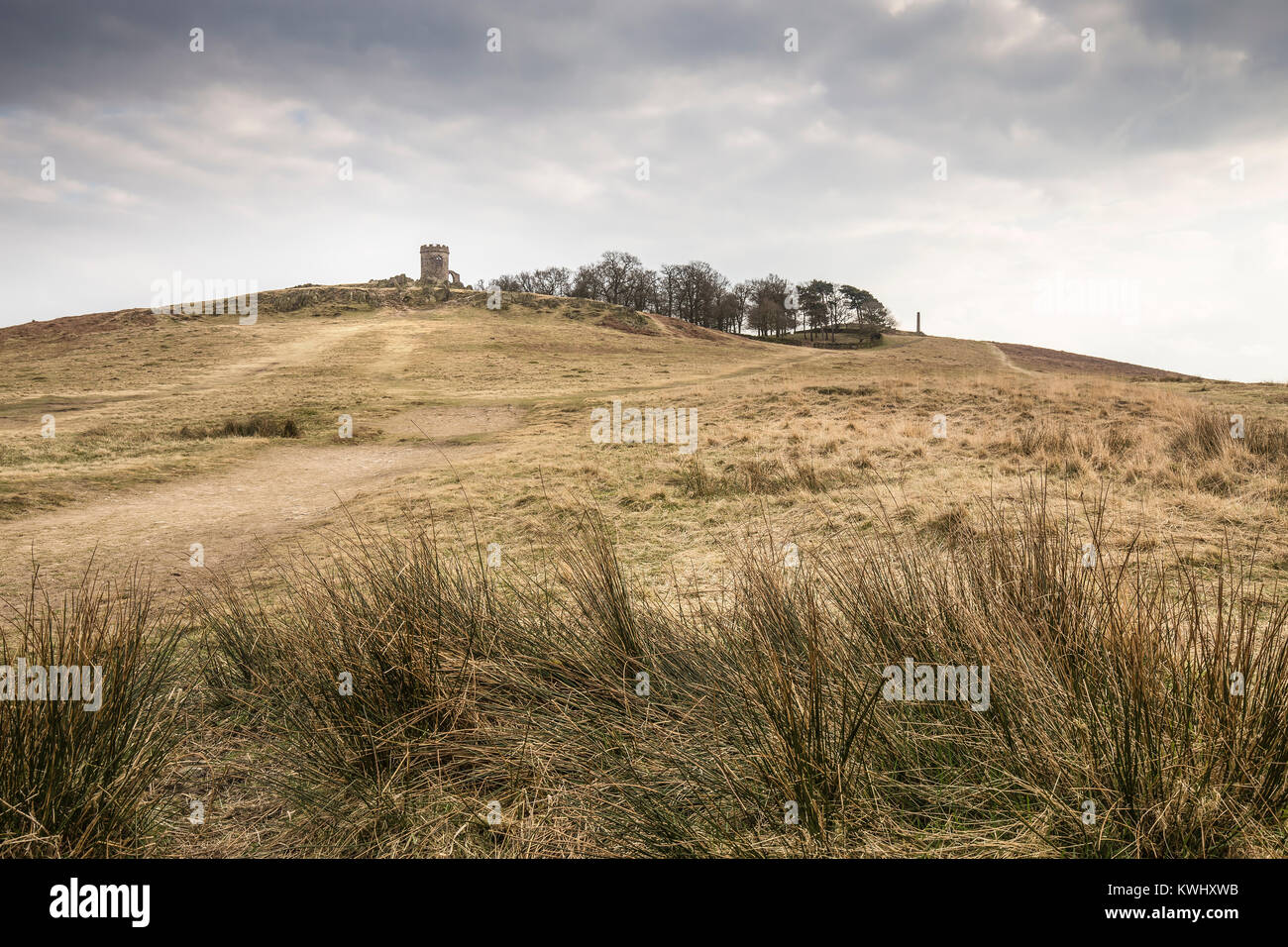 An image shot on a grey day showing the landscape in Bradgate Park ...