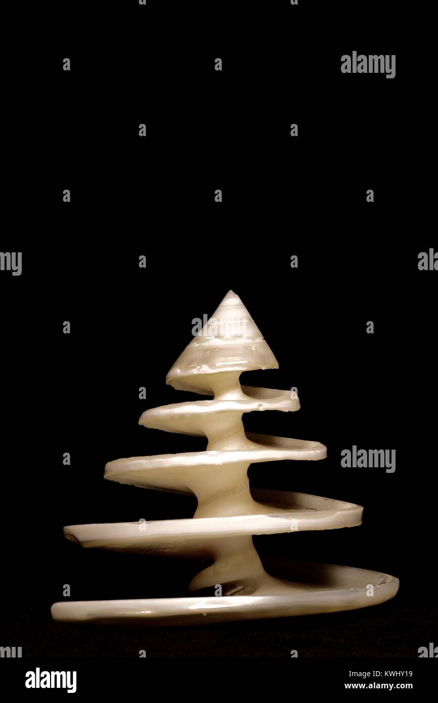 Cut through shell hi-res stock photography and images - Alamy