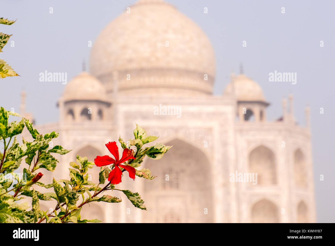 The Taj Mahal, Agra, India. Built by the Mughal emperor Shah Jahan, the ...