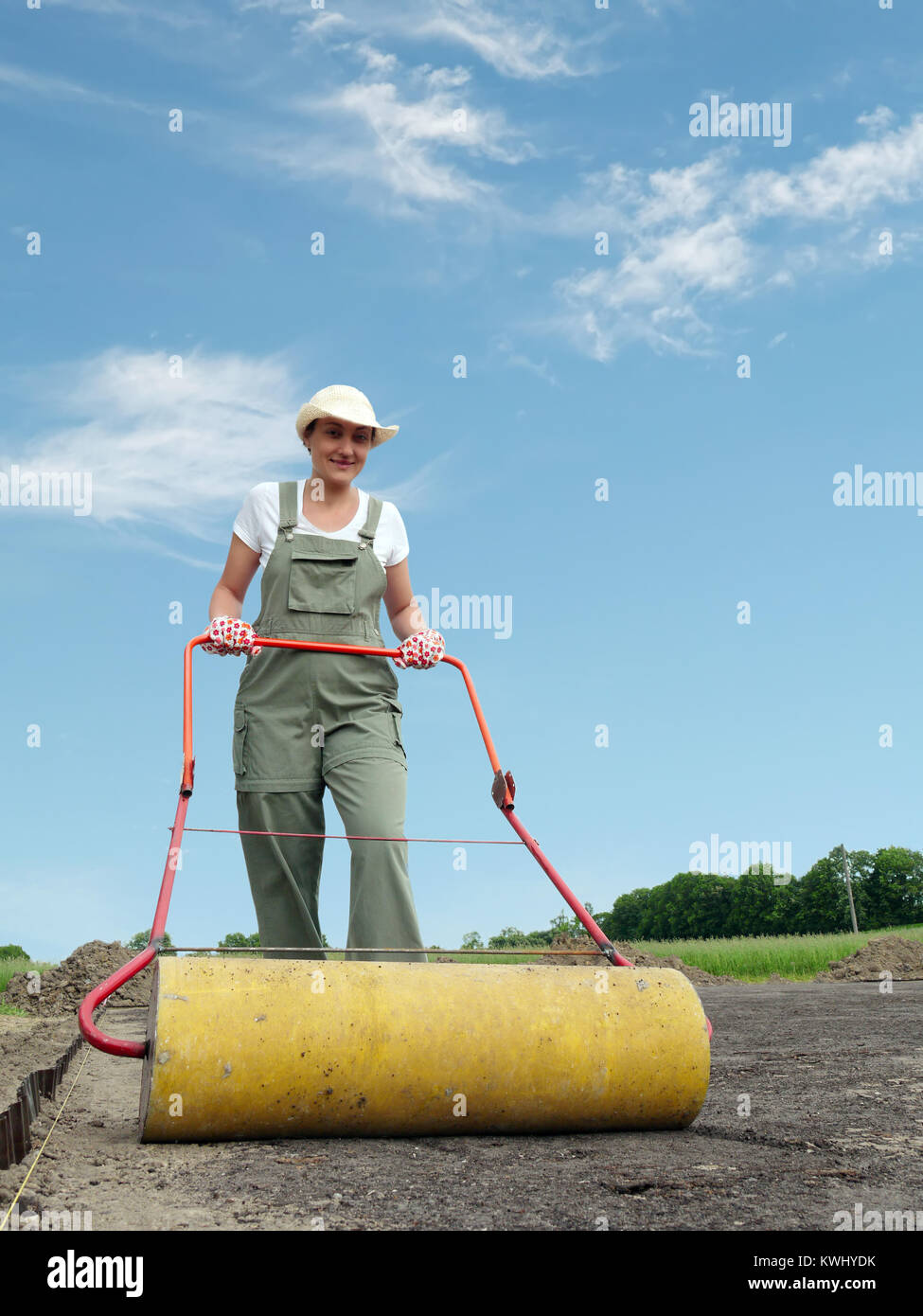 Female gardener leveling soil surface using garden roller Stock Photo ...