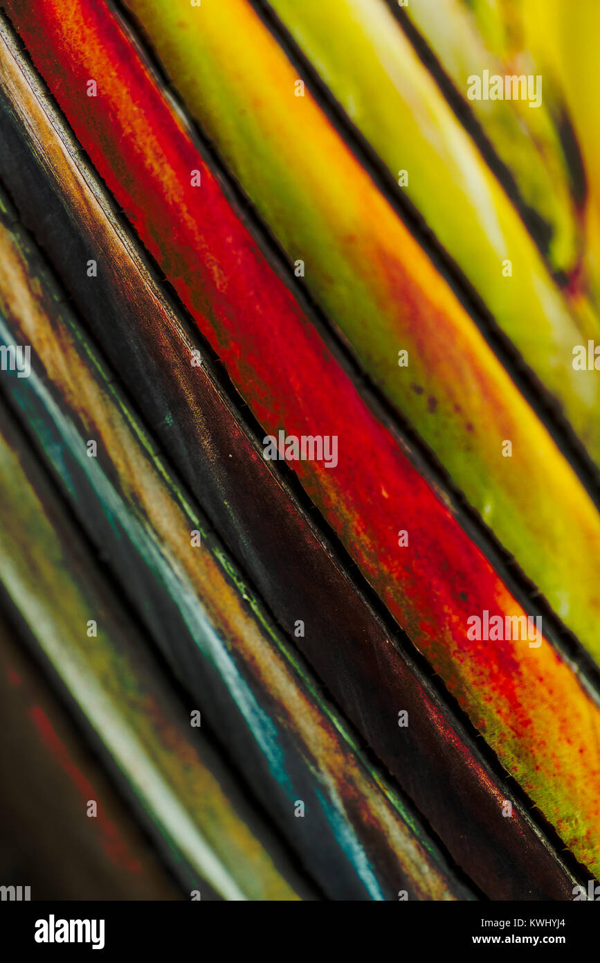 Palm cross hi-res stock photography and images - Alamy