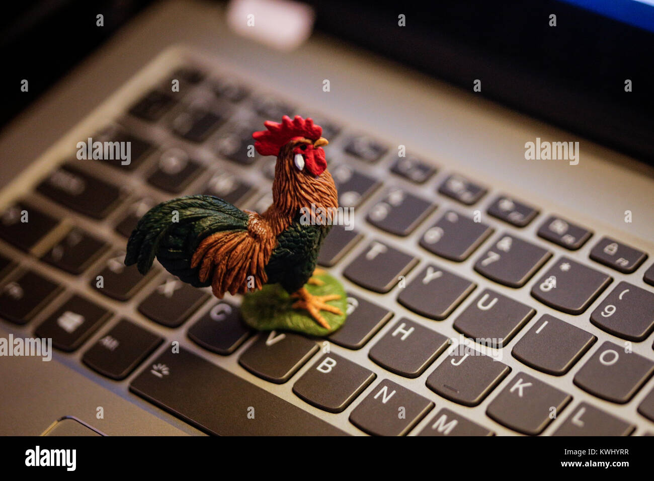 Toy rooster on laptop keyboard - domestic animals and agriculture in ...