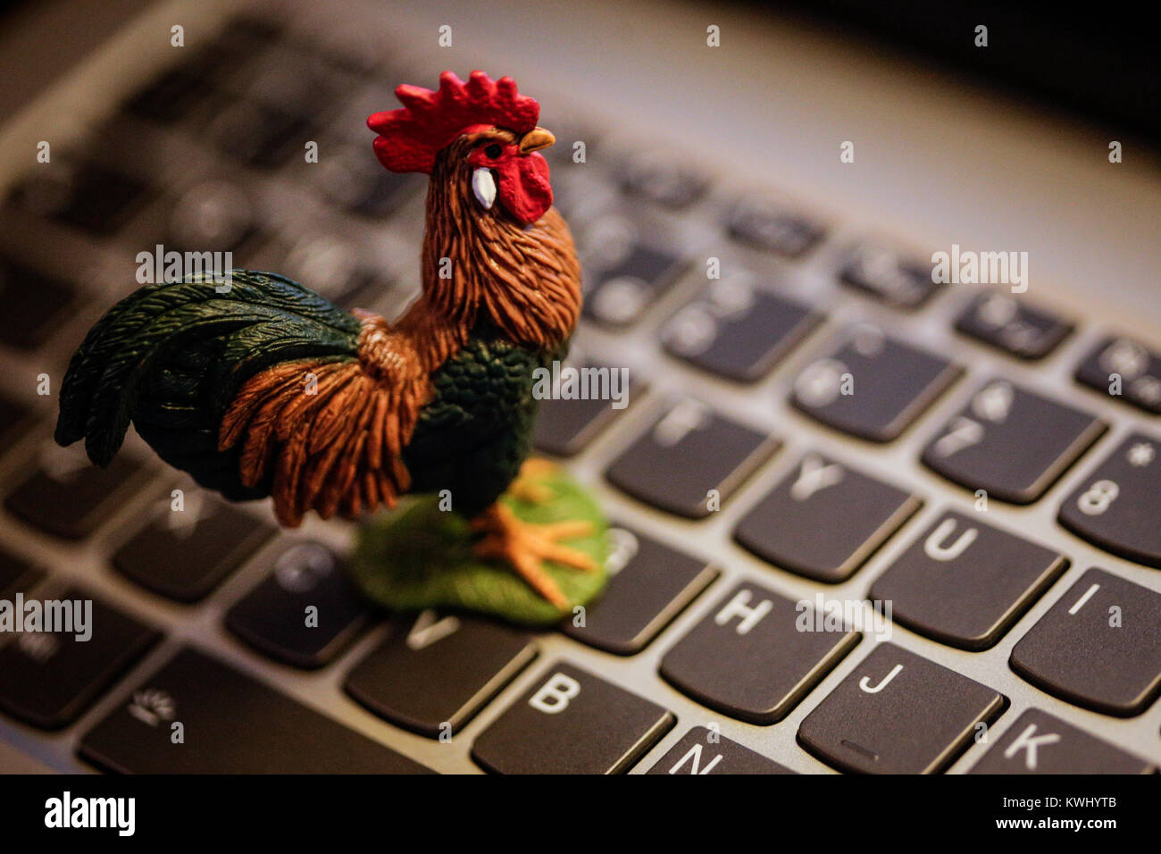 Toy rooster on laptop keyboard - domestic animals and agriculture in ...