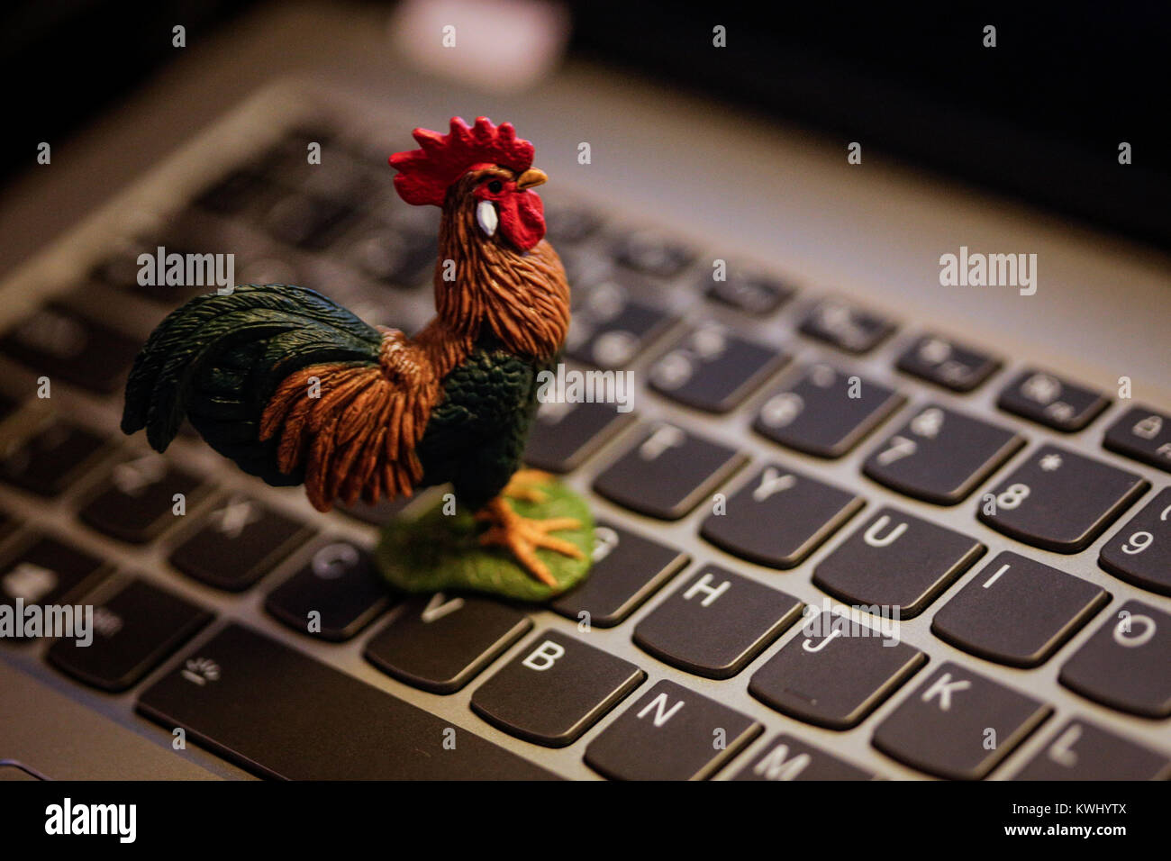 Toy rooster on laptop keyboard - domestic animals and agriculture in ...