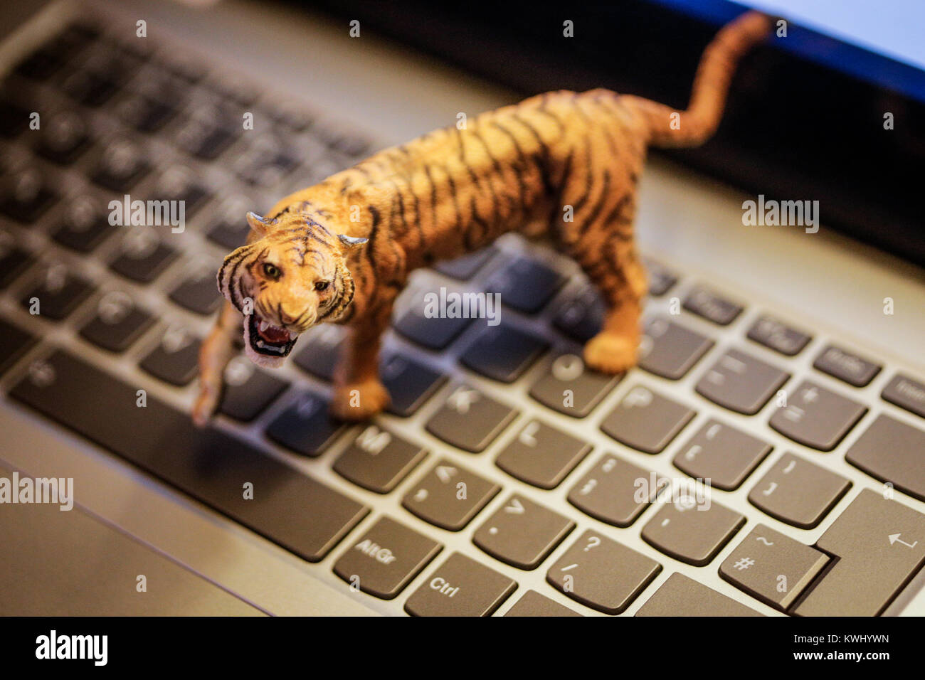 Animals on computer screen hi-res stock photography and images - Alamy