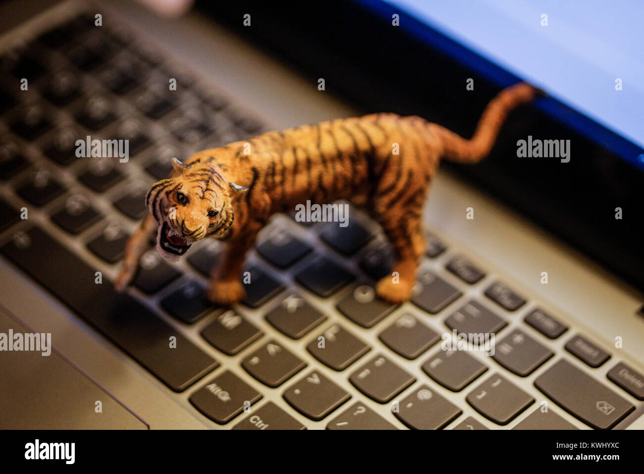 Animals on computer screen hi-res stock photography and images - Alamy
