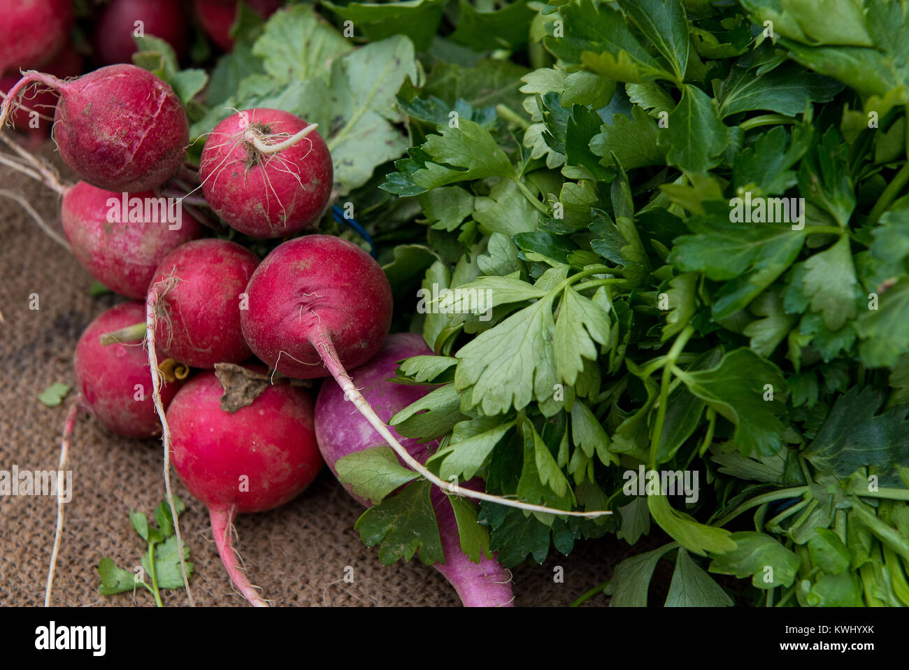 Beet, Beta vulgaris, vegetable full of nutrition for a healthy ...