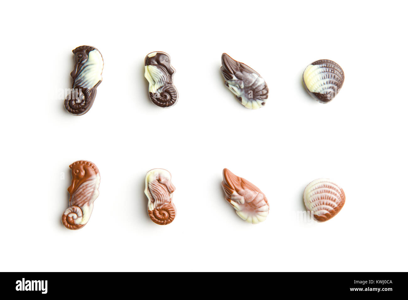 Sweet chocolate seashells isolated on white background Stock Photo - Alamy
