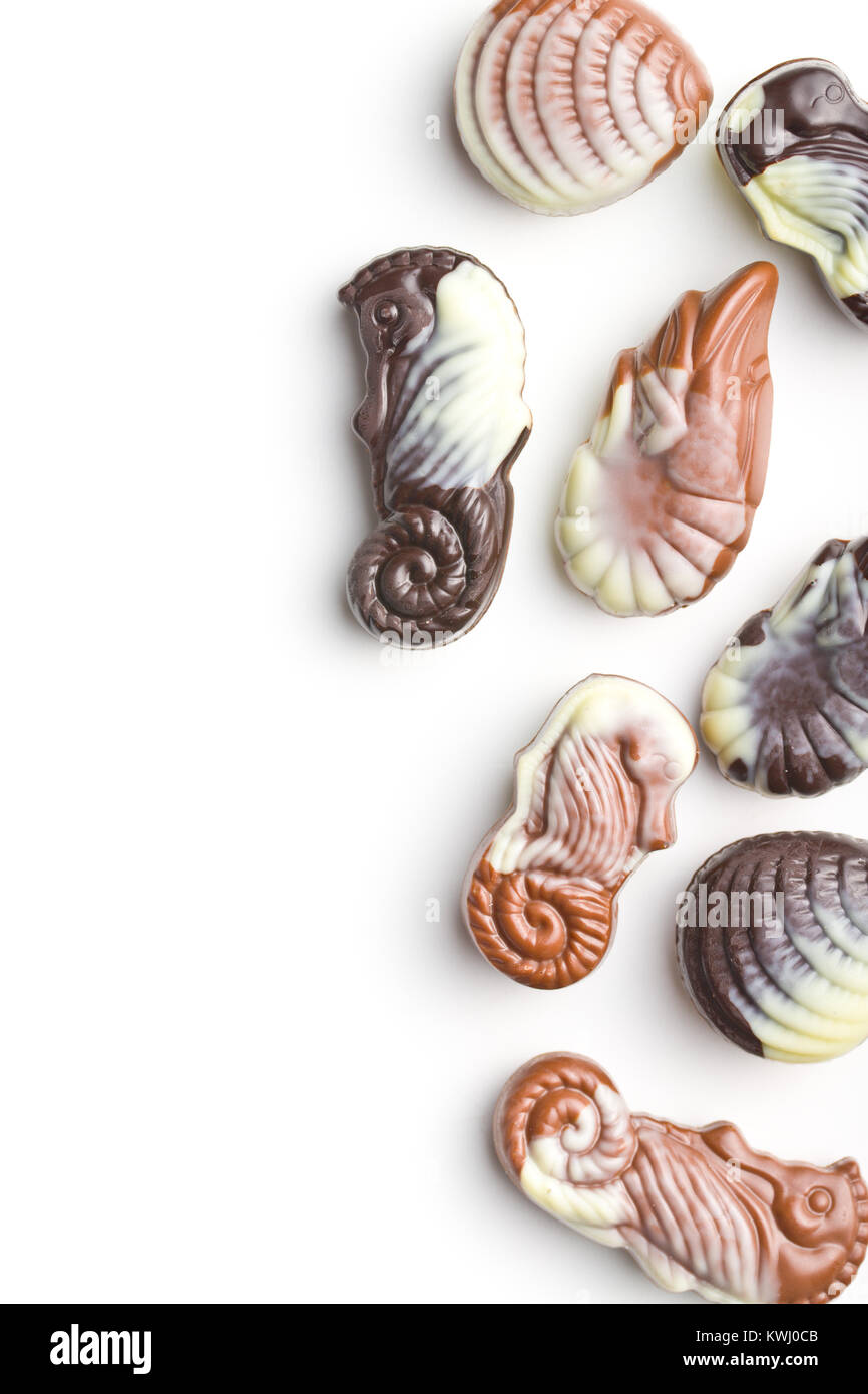 Sweet chocolate seashells isolated on white background Stock Photo - Alamy