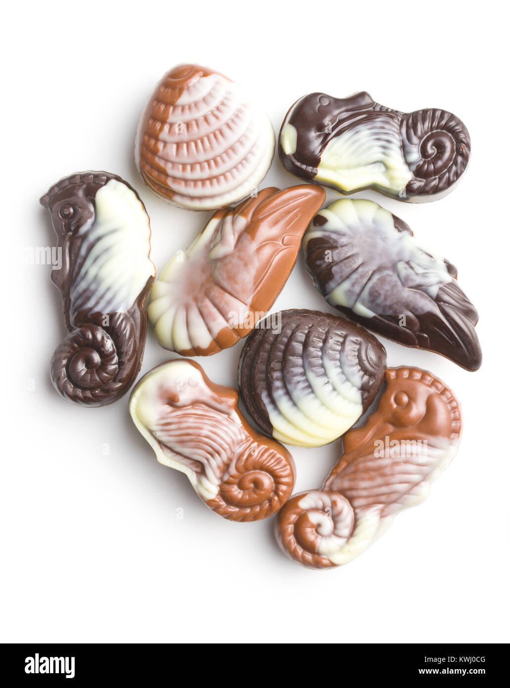 Sweet chocolate seashells isolated on white background Stock Photo - Alamy