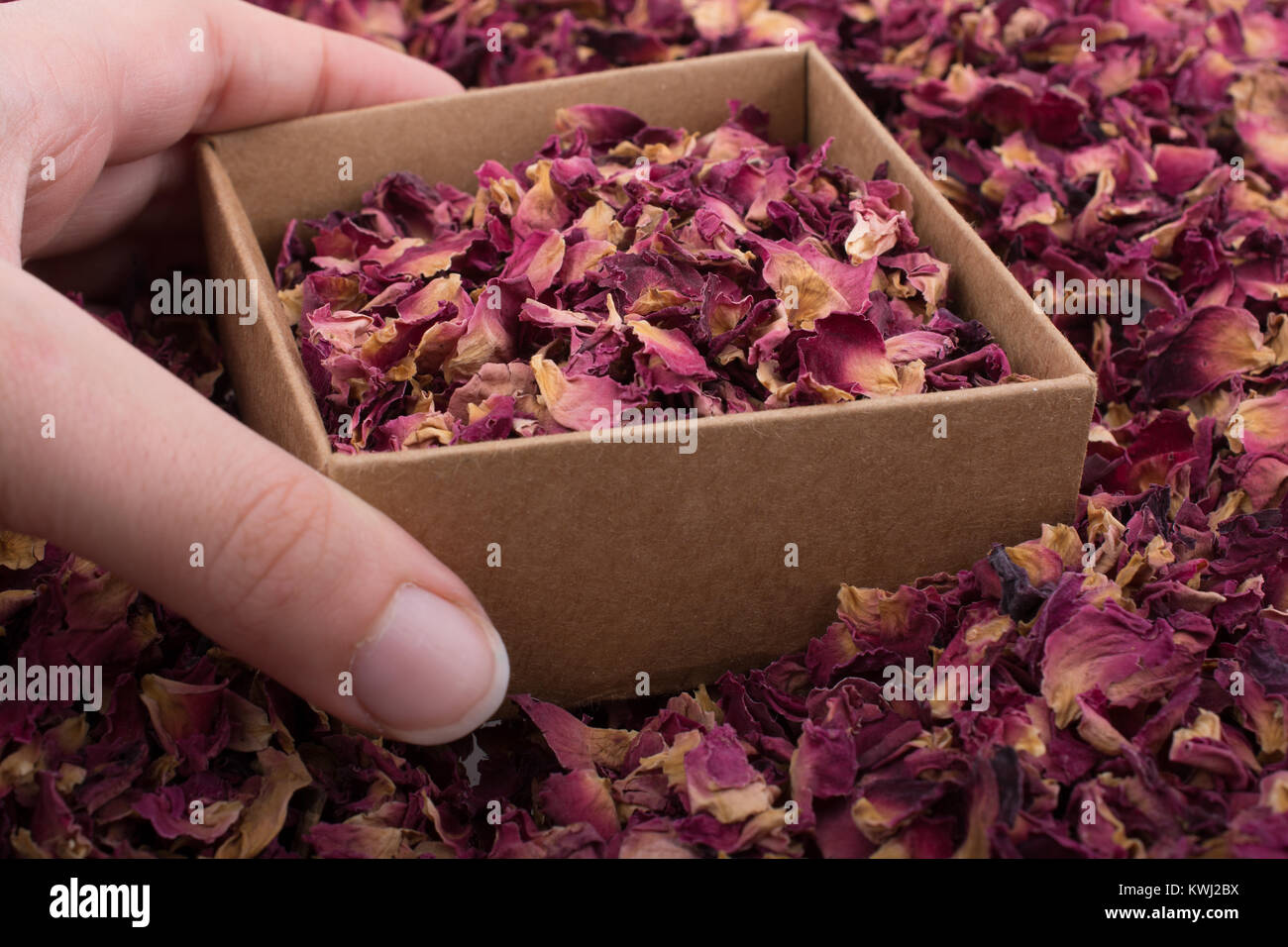 Dried rose petals in box and as a background Stock Photo - Alamy