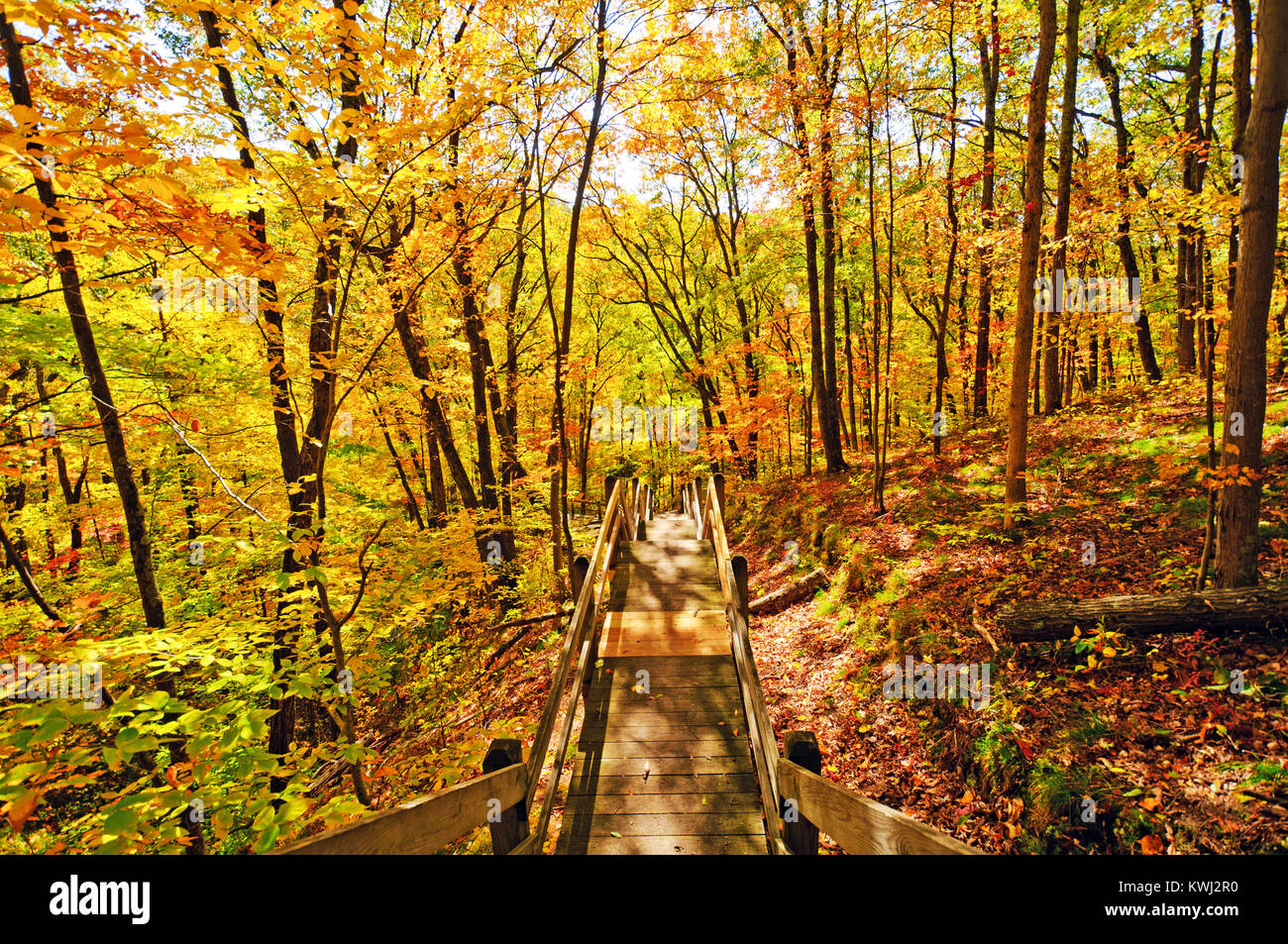 Ogle Lake Trail in Brown County State Forest in Indiana Stock Photo - Alamy