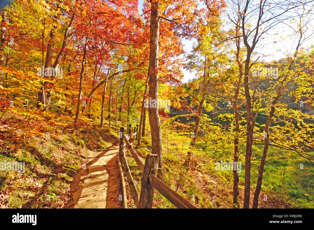 Fall Colors on the Strahl Lake Trail in Brown County State Park Stock ...