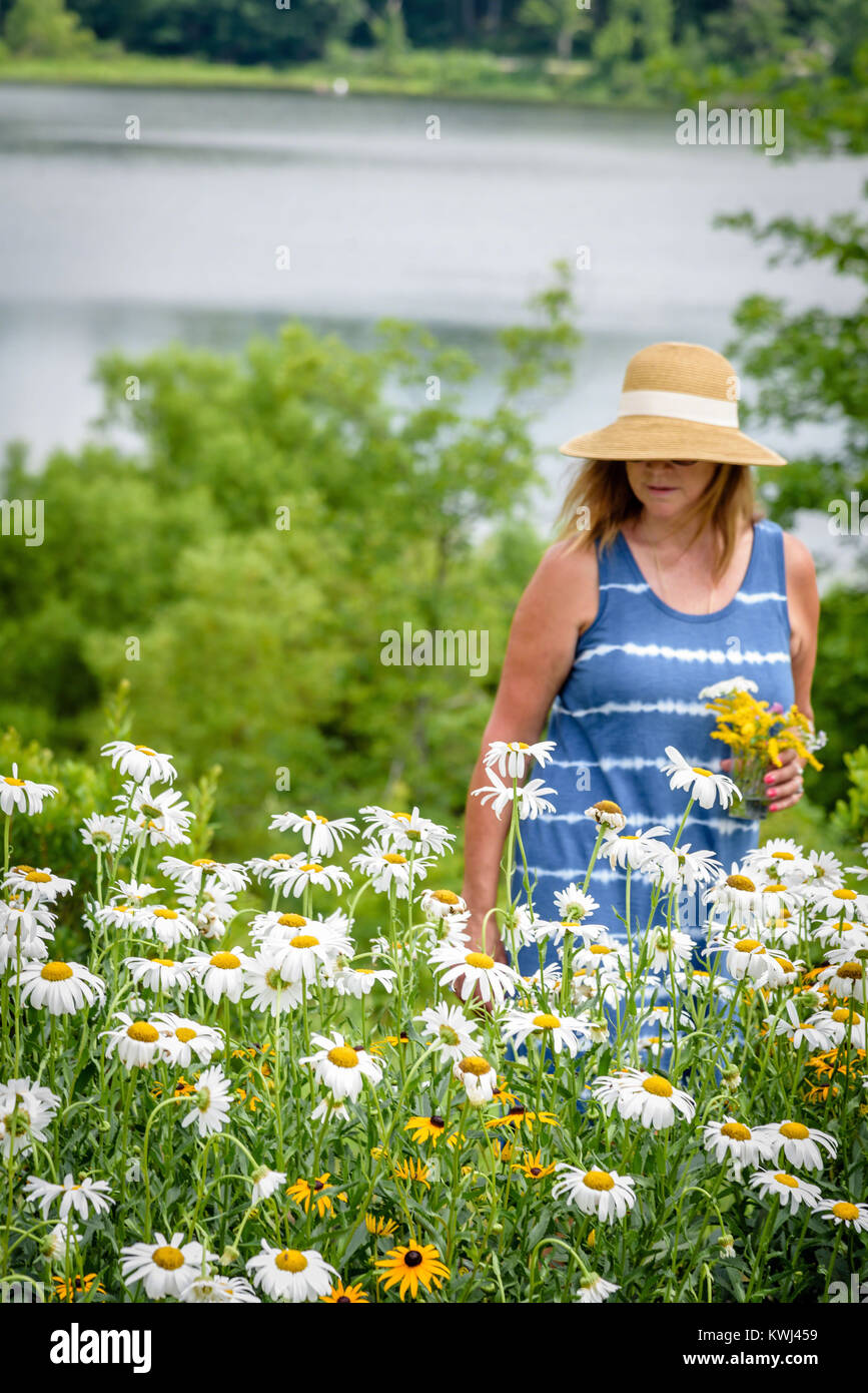 Picking wildflowers hi-res stock photography and images - Alamy