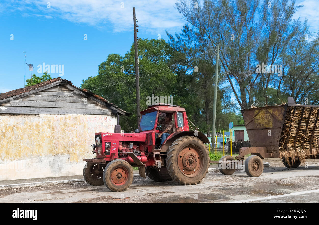 Sugarcane process hi-res stock photography and images - Alamy