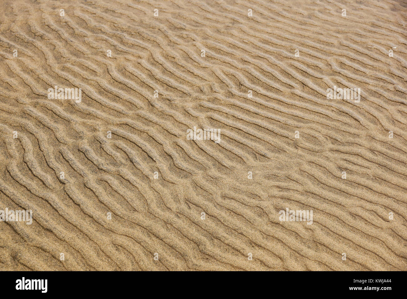 Beach sand bottom hi-res stock photography and images - Alamy