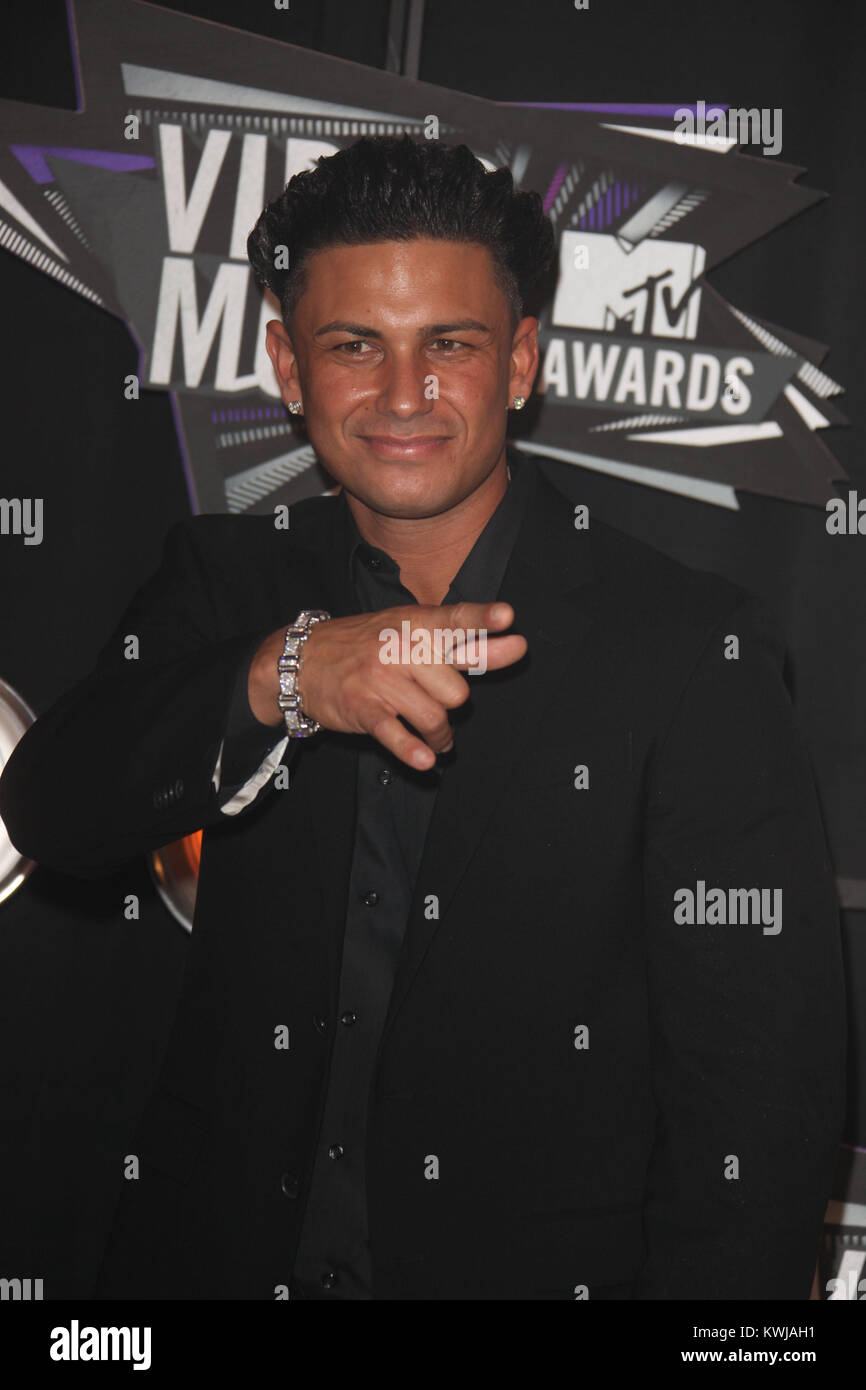 LOS ANGELES, CA - AUGUST 28: DJ Pauly D arrives at the 2011 MTV Video ...