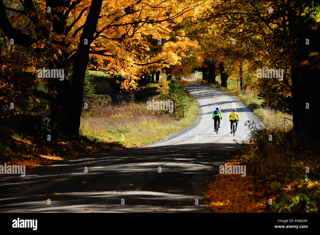Mountain biking through fall colors, autumn colors, colorful fall ...