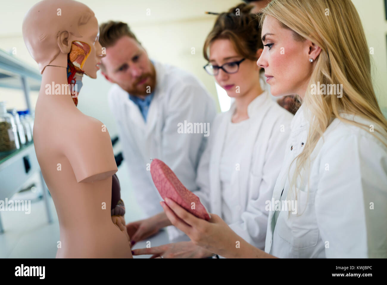 Students of medicine examining anatomical model in classroom Stock ...