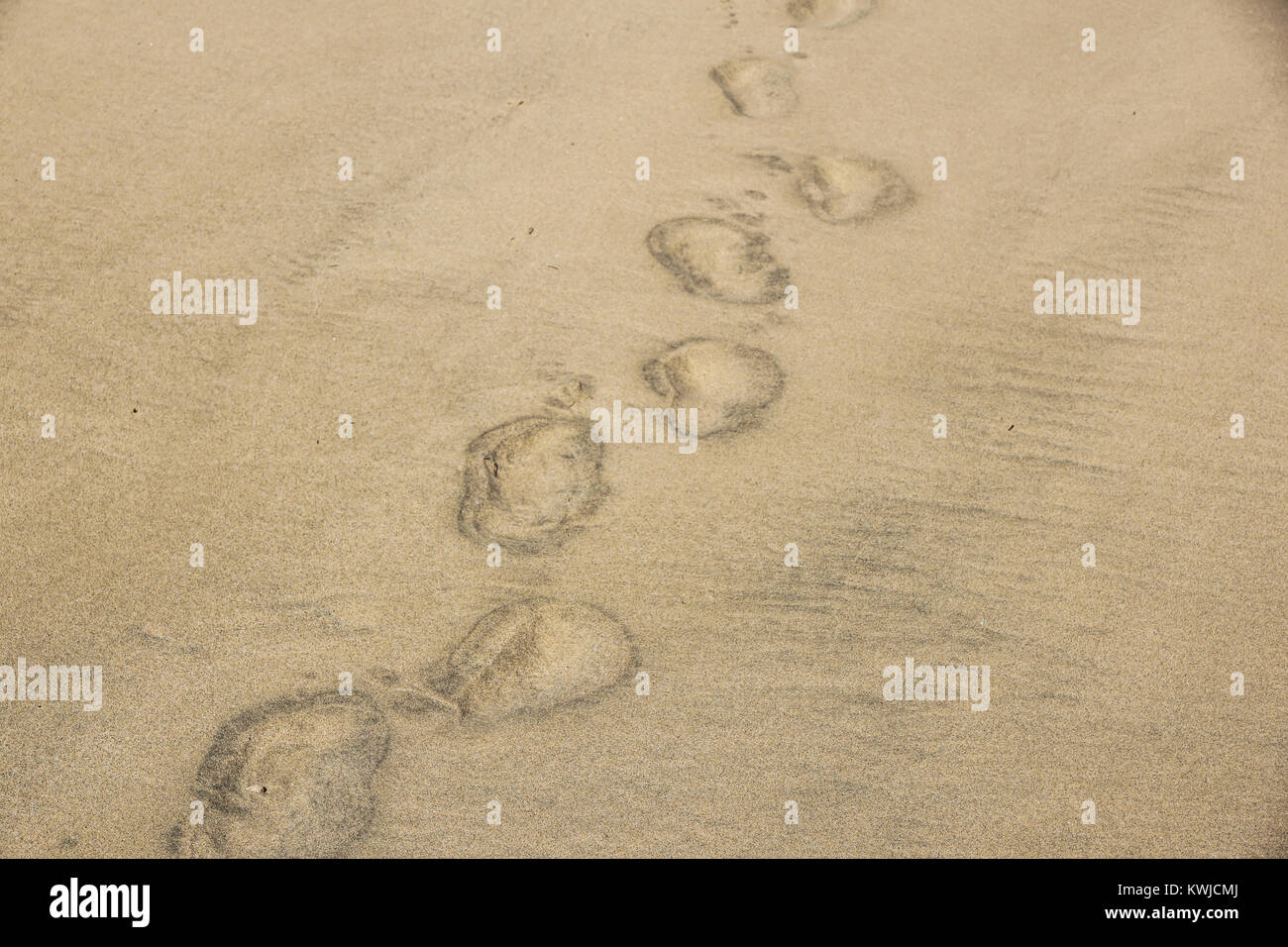 Footprints in the sand at sunset. Beautiful sandy tropical beach ...