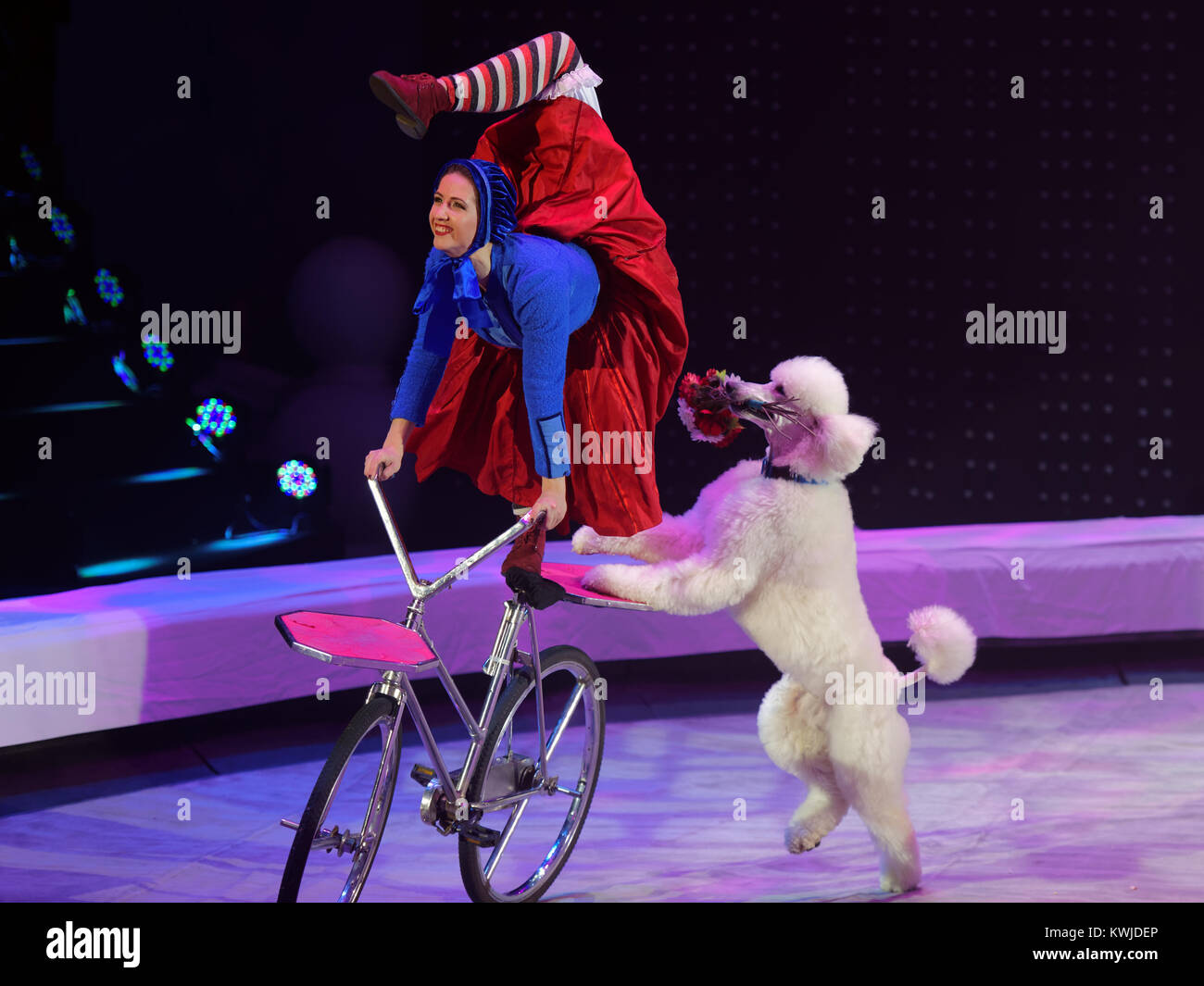Victoria Akimova as Gerda with trained dogs in the circus show Snow ...