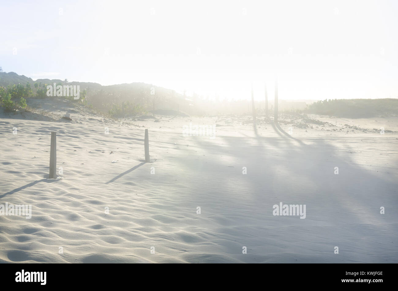 Wavy sand on the beach due to strong wind Stock Photo - Alamy