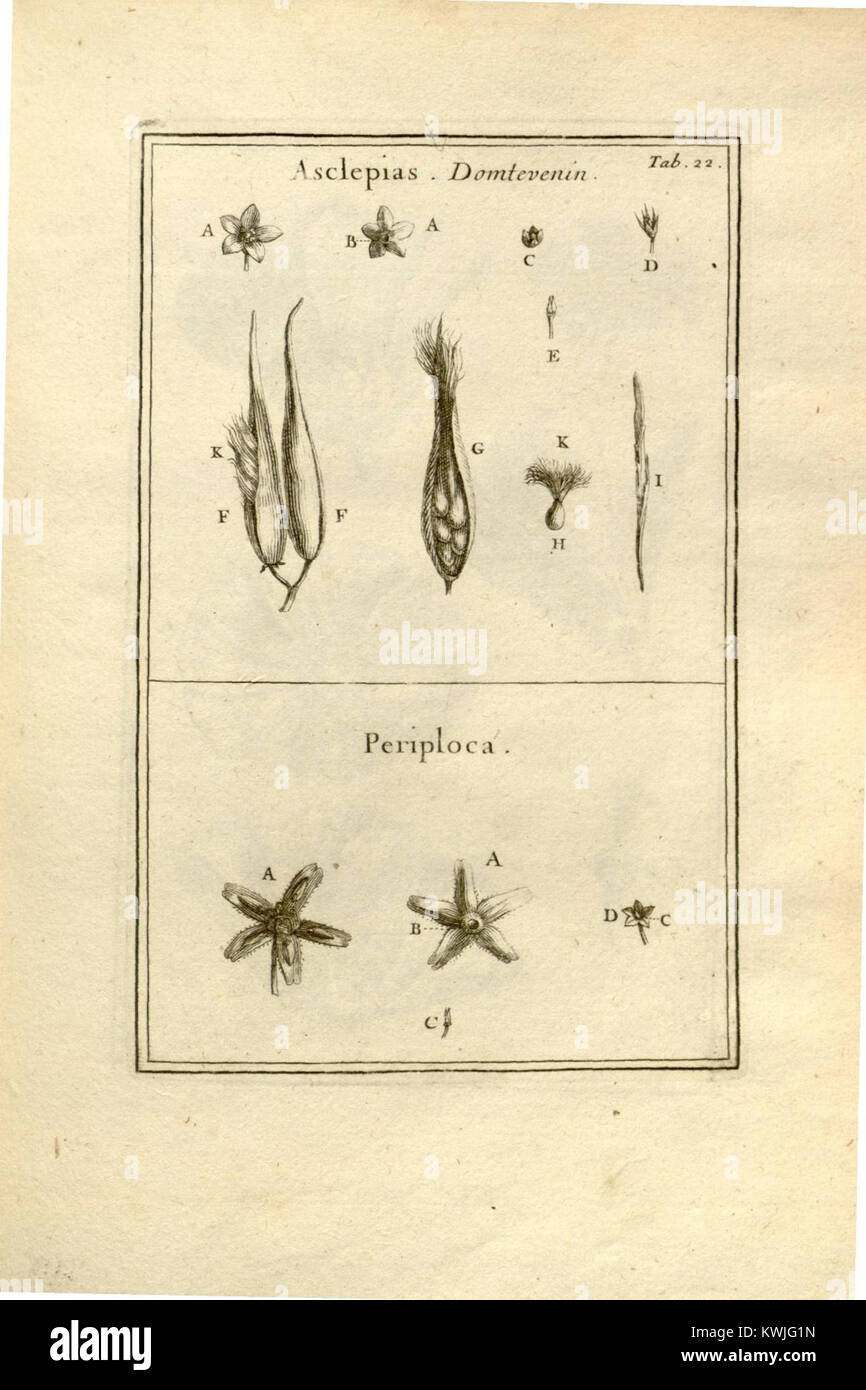 This image showcases a botanical illustration from Joseph Pitton de ...