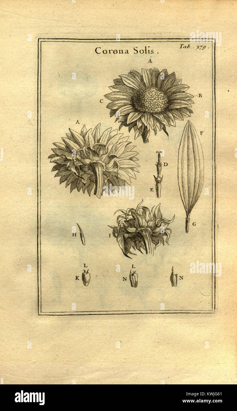 Joseph Pitton de Tournefort's 'Institutiones Rei Herbariæ' is a ...