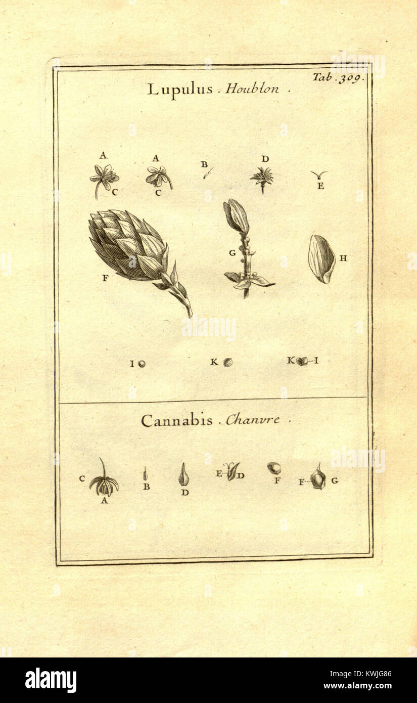 This image shows an illustration from Joseph Pitton de Tournefort's ...