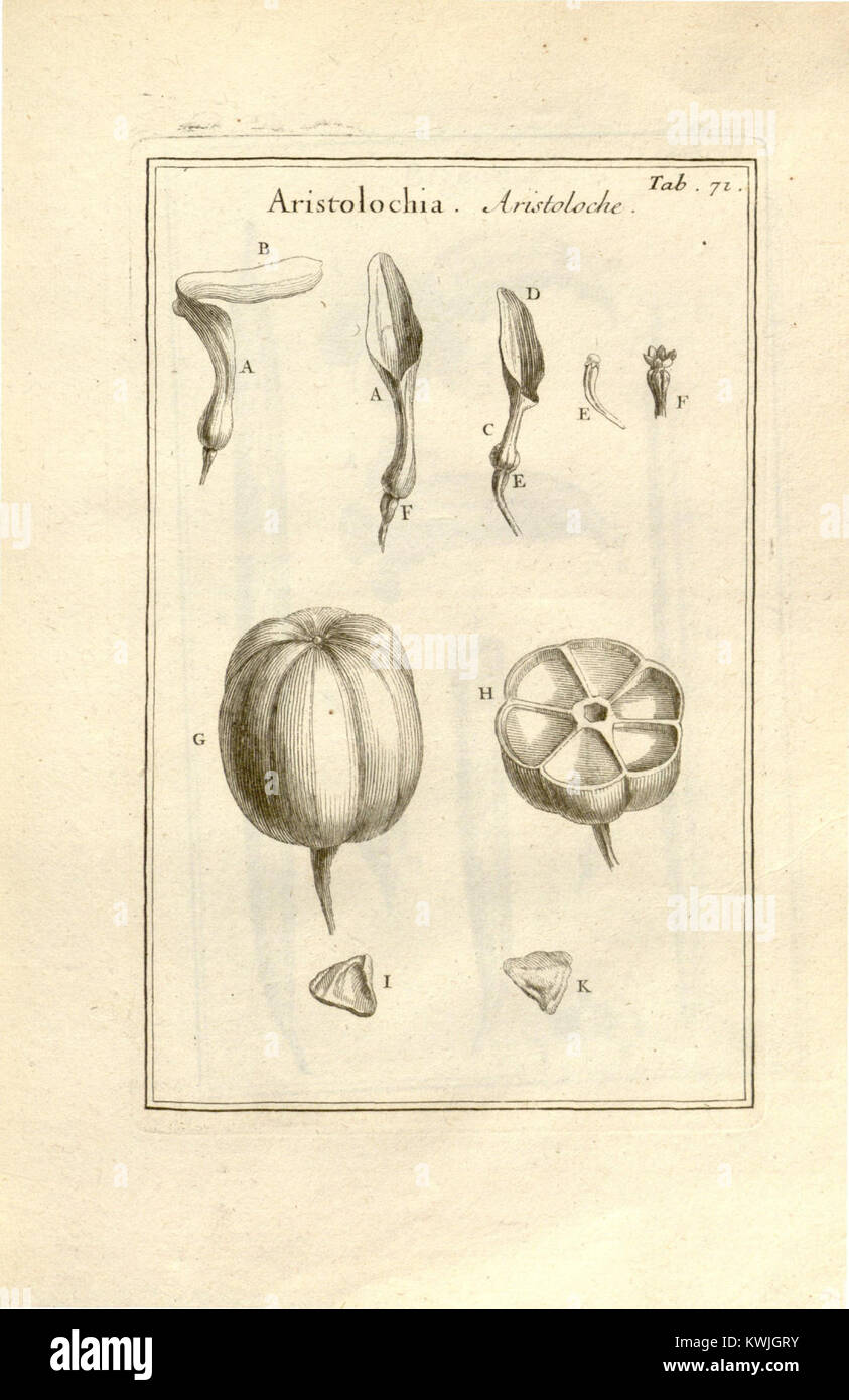 This page from Joseph Pitton de Tournefort’s “Institutiones rei ...