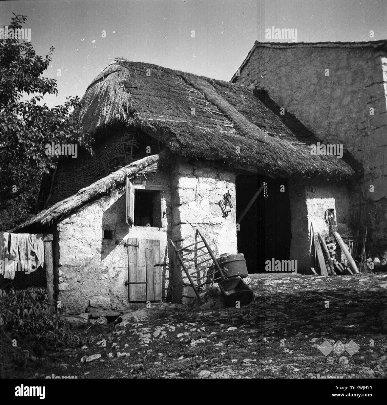 This photograph, taken in 1955, shows a traditional rural scene in ...