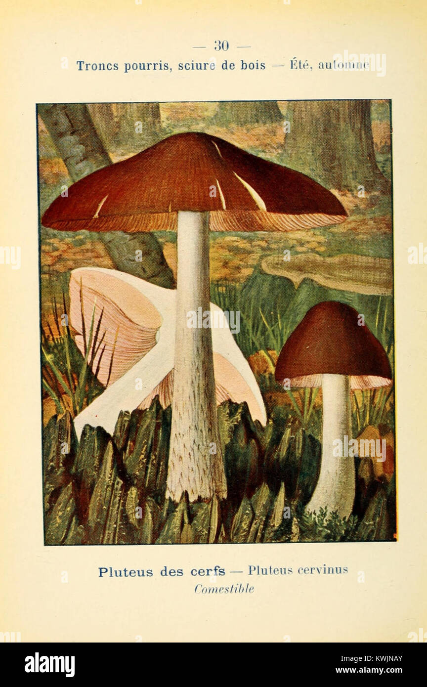 This title refers to a pocket-sized atlas of edible and poisonous ...