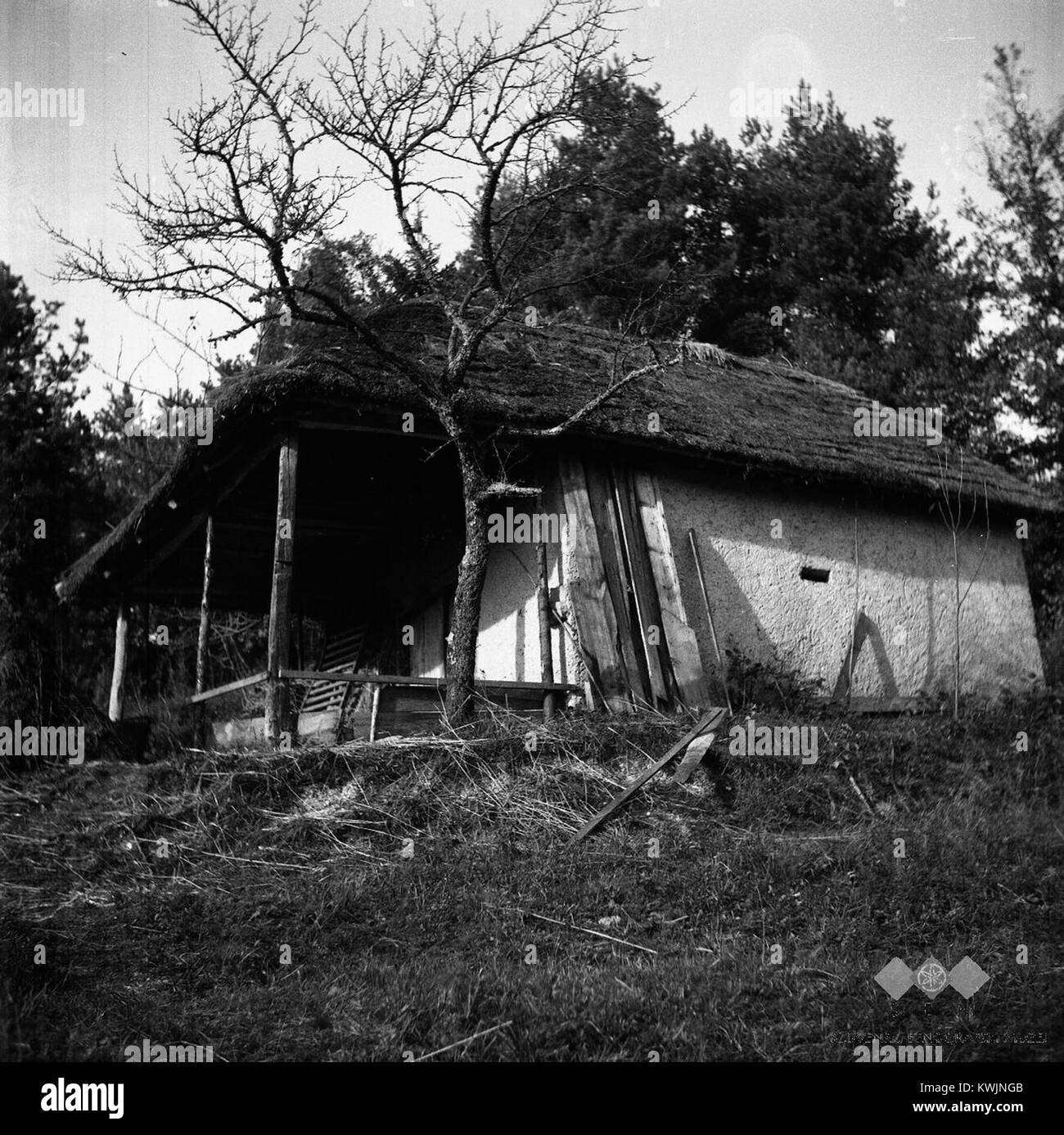 Zidanica Janeza Dolenška. Zaselek Skurševec, Spodnji Lakenc 1951 Stock ...