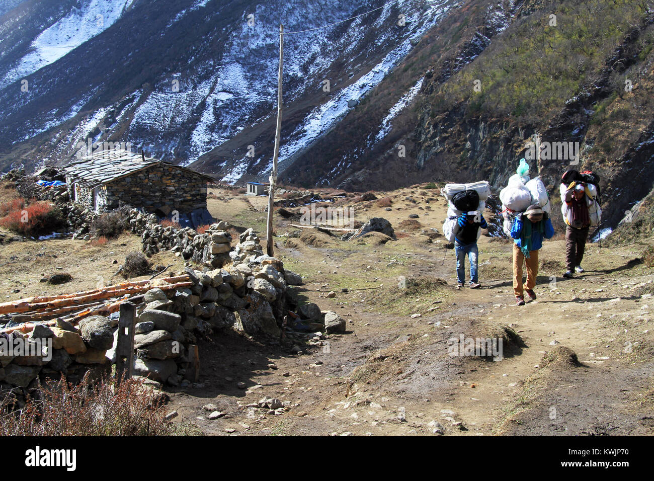 Porters with heavy bags on the street in Samdo, Nepal Stock Photo - Alamy