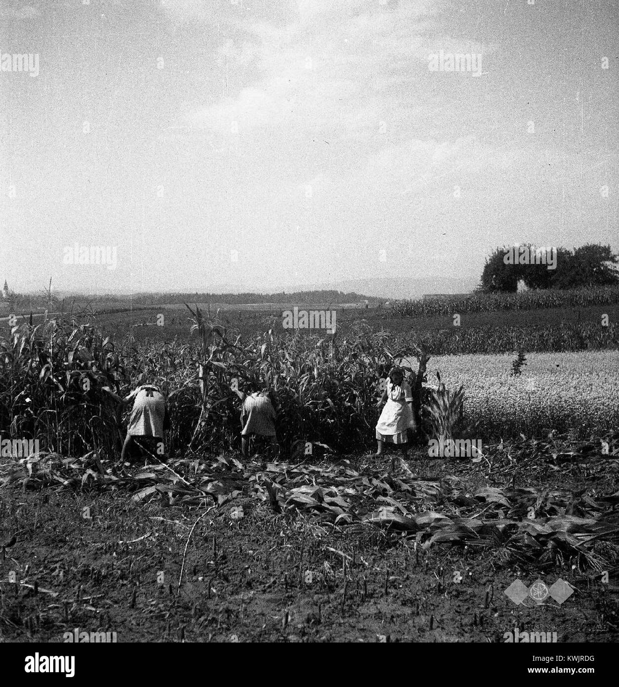 A 1950 photograph of the Zamanovi family from St. Pavla, Slovenia ...