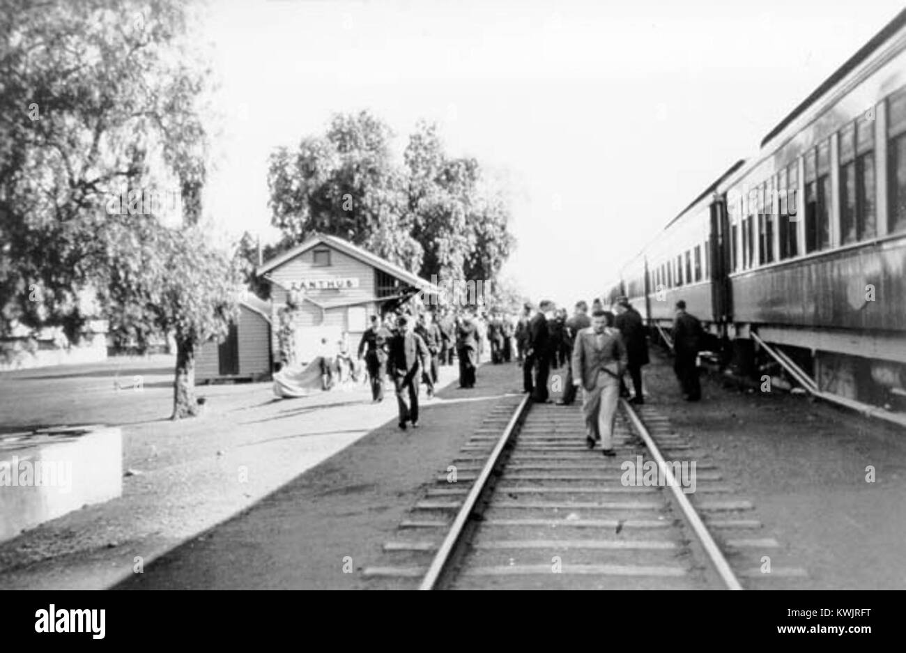 Zanthus hi-res stock photography and images - Alamy