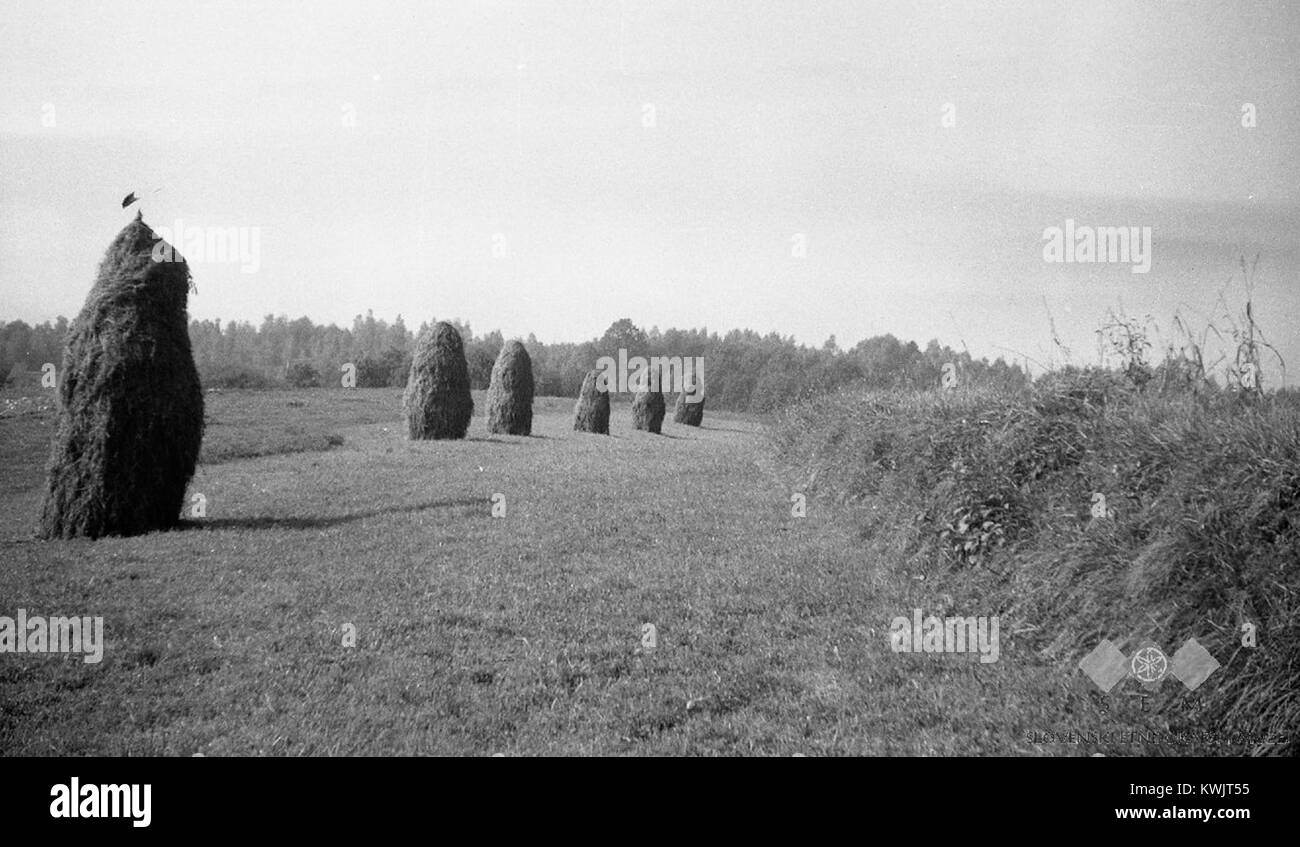 Clover green crop Black and White Stock Photos & Images - Alamy