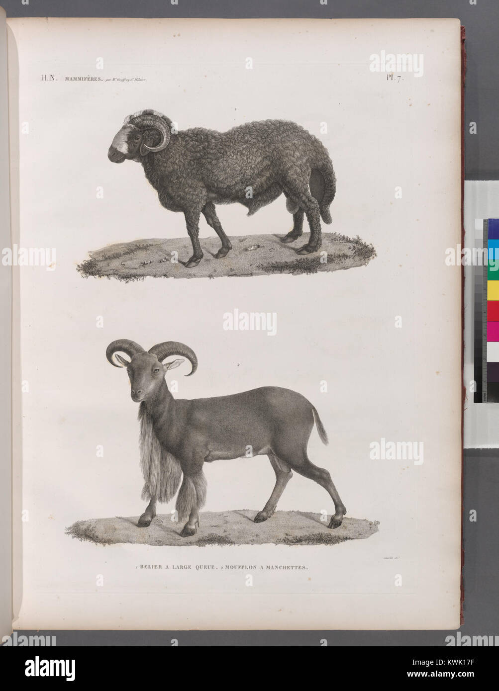 Manchettes hi-res stock photography and images - Alamy