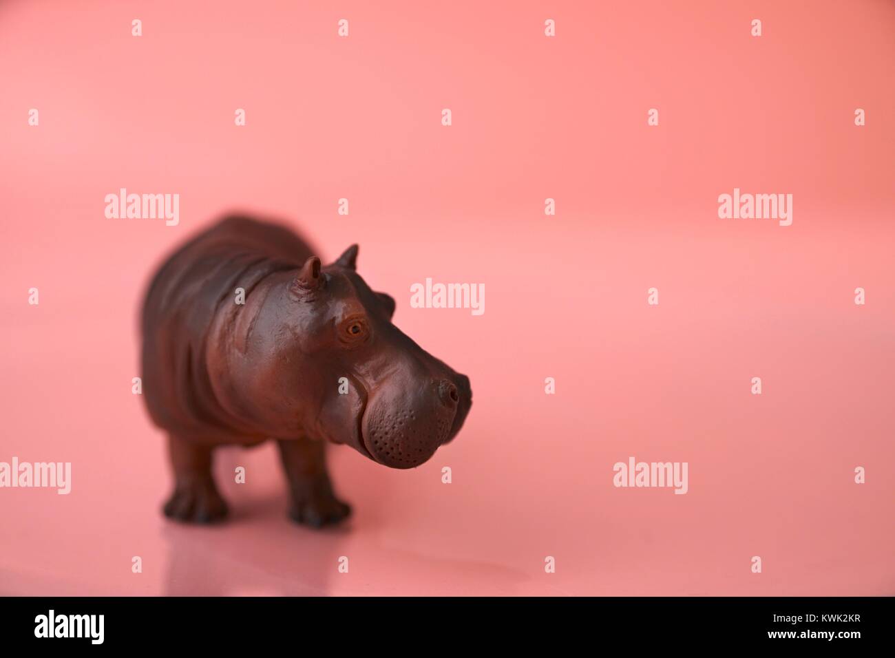 Rare Pink Hippo