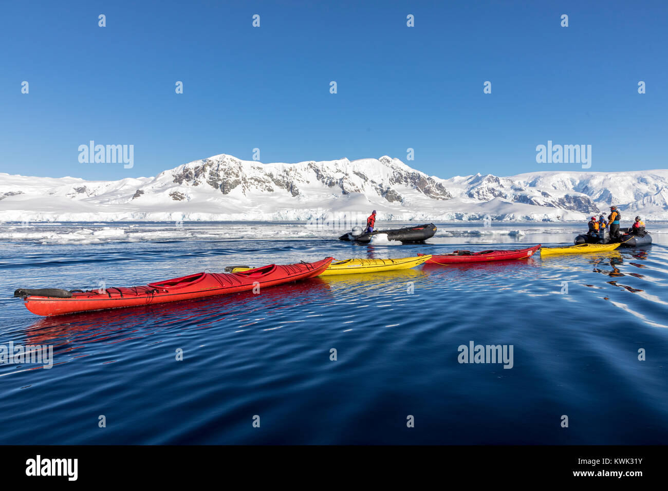 Guides in Zodiacs tow empty kayaks used to explore snow covered ...