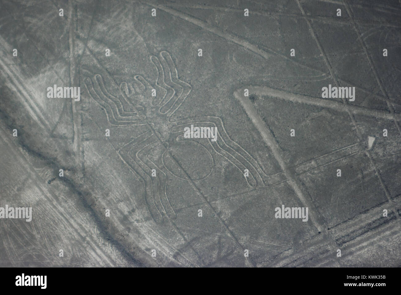 Aerial picture of the Spider figure at Nazca lines seen from the plane ...