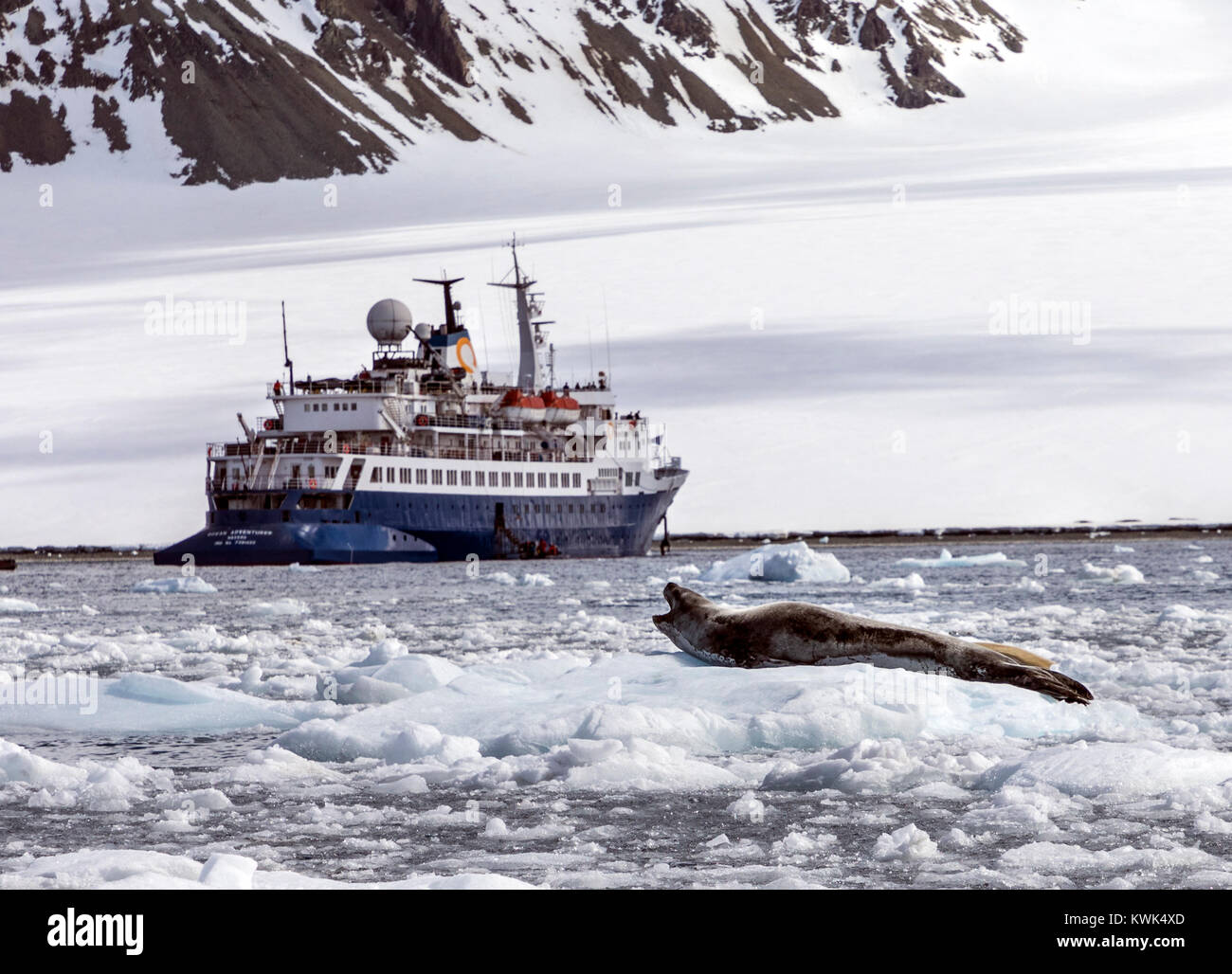 Seal skin boat hi-res stock photography and images - Alamy