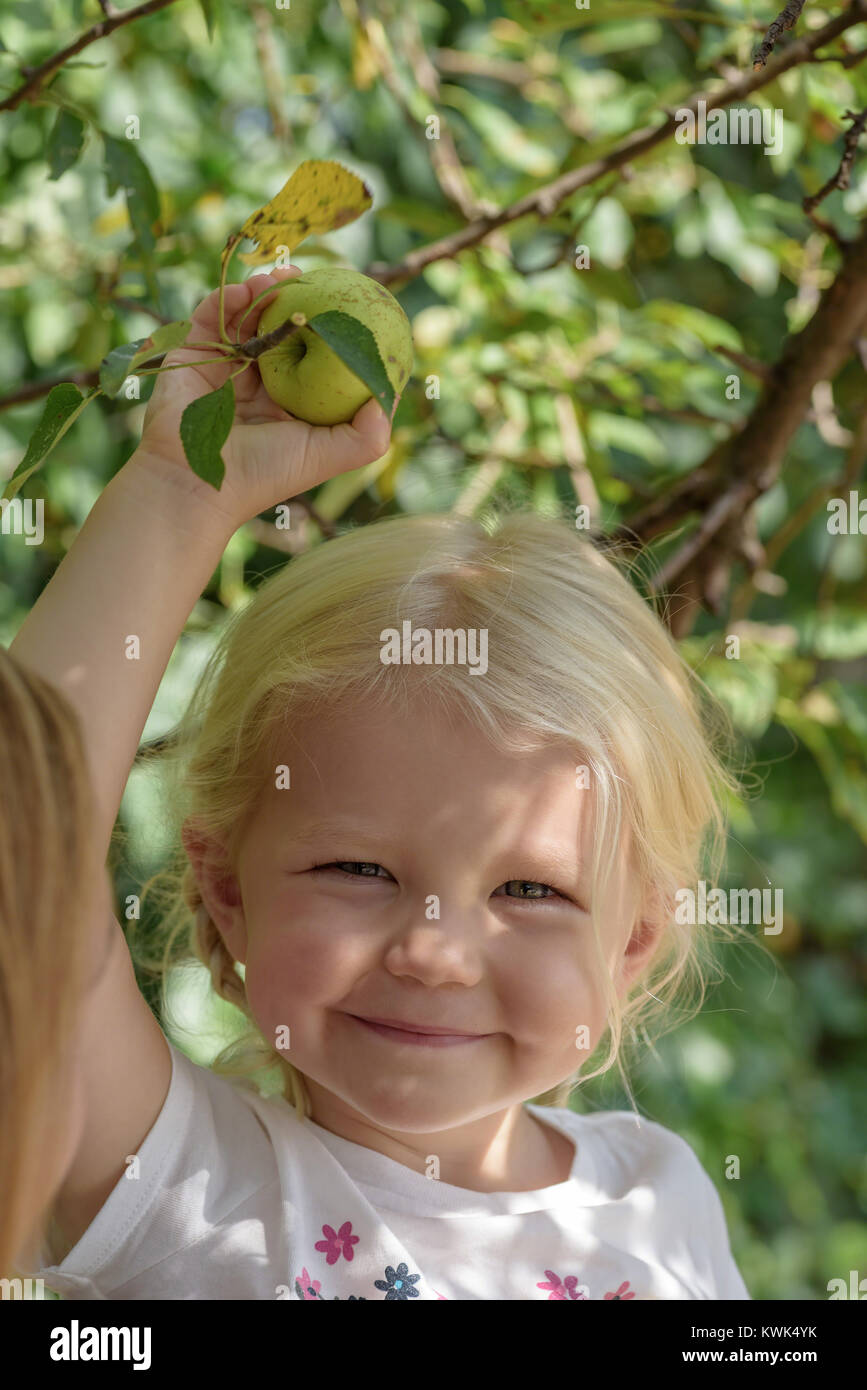 Happy little girl apple picking with family in fall Stock Photo - Alamy