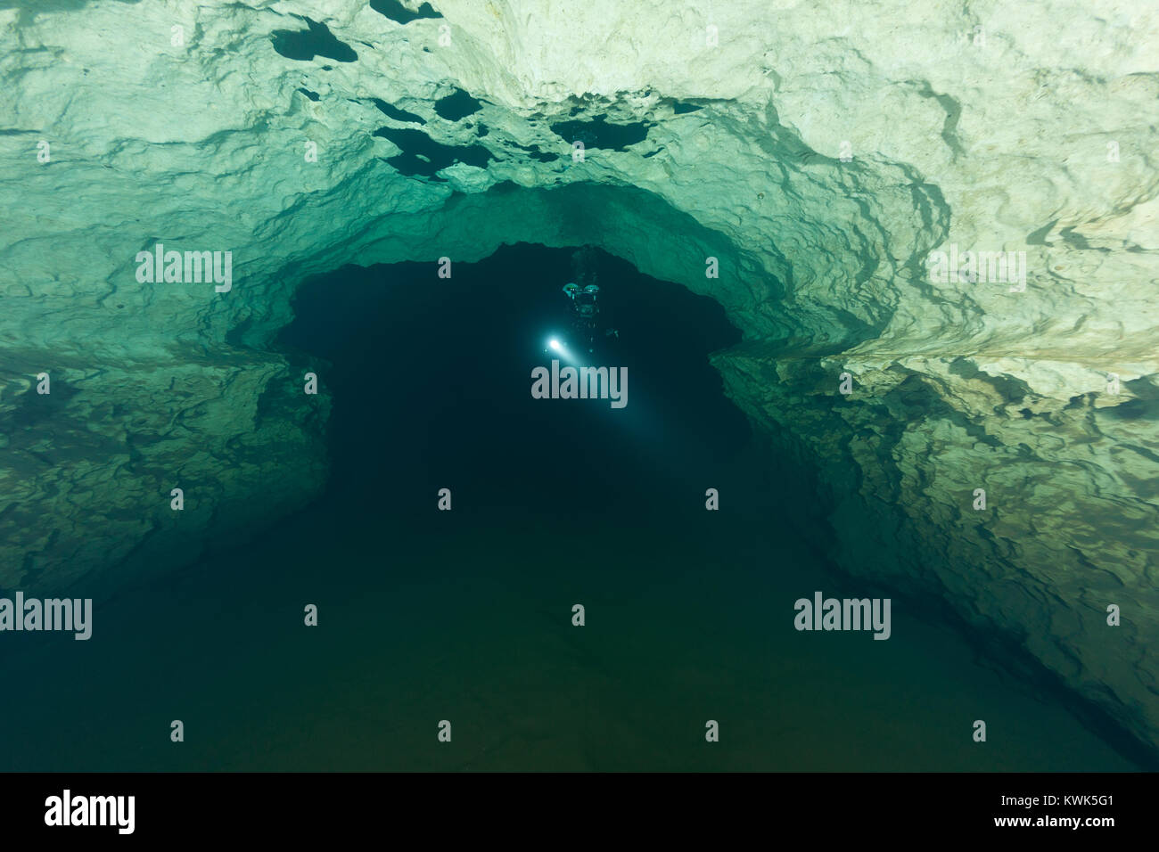 Cave diving florida hi-res stock photography and images - Alamy