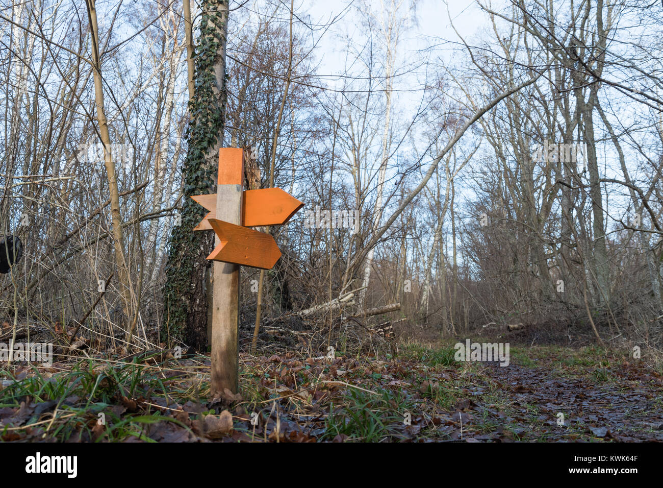 Orange wooden arrows pointing out the directions by a footpath in a ...